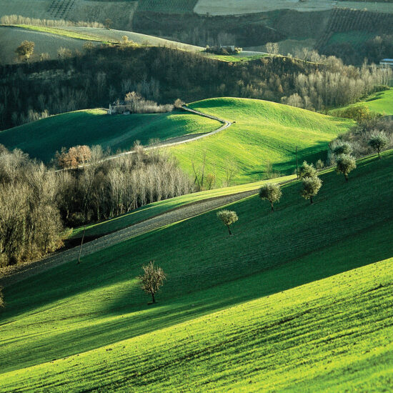 The city of Fermo - Visit Fermo